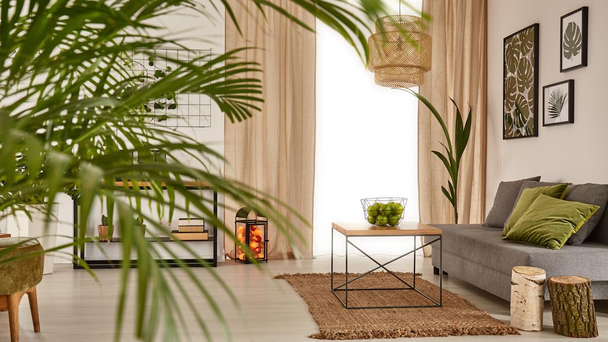 7 Steps to Decorating Your Living Room Like a Pro | Third & Main