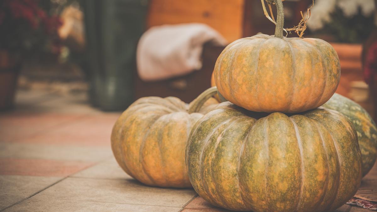 5 Tips for a Slow Transition to Autumn Decor | Third & Main